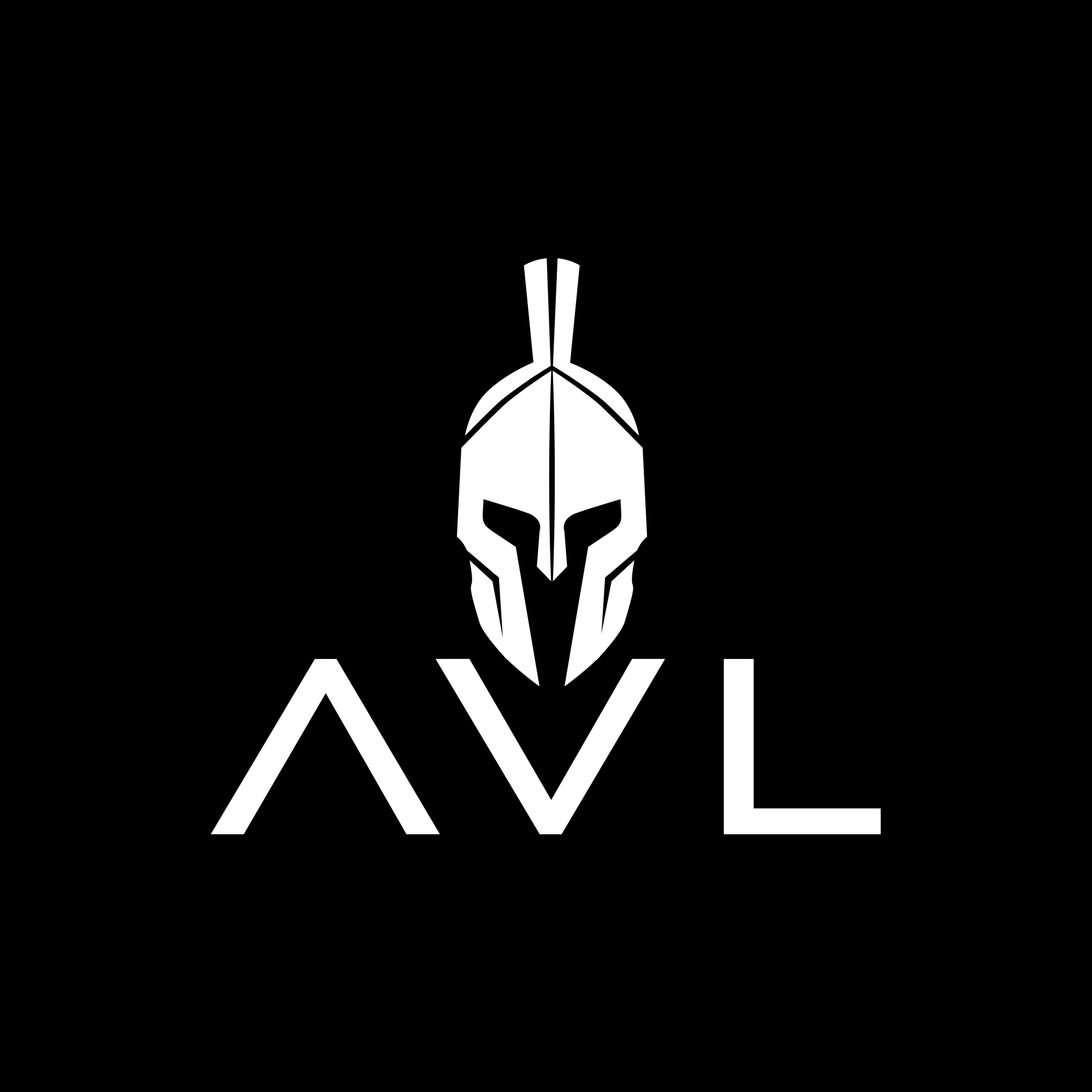 Sobre nosotros - AVL - Academia táctica y técnica